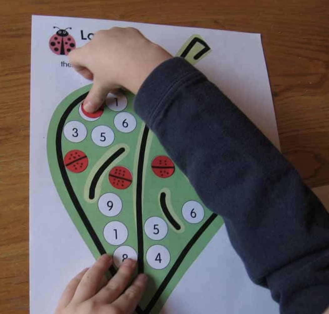 Number Recognition Activity: Ladybugs on a Leaf - The Measured Mom