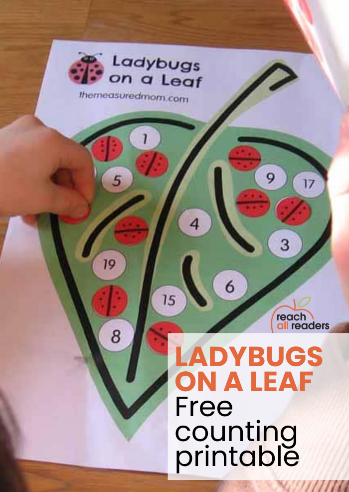 Number Recognition Activity: Ladybugs on a Leaf - The Measured Mom