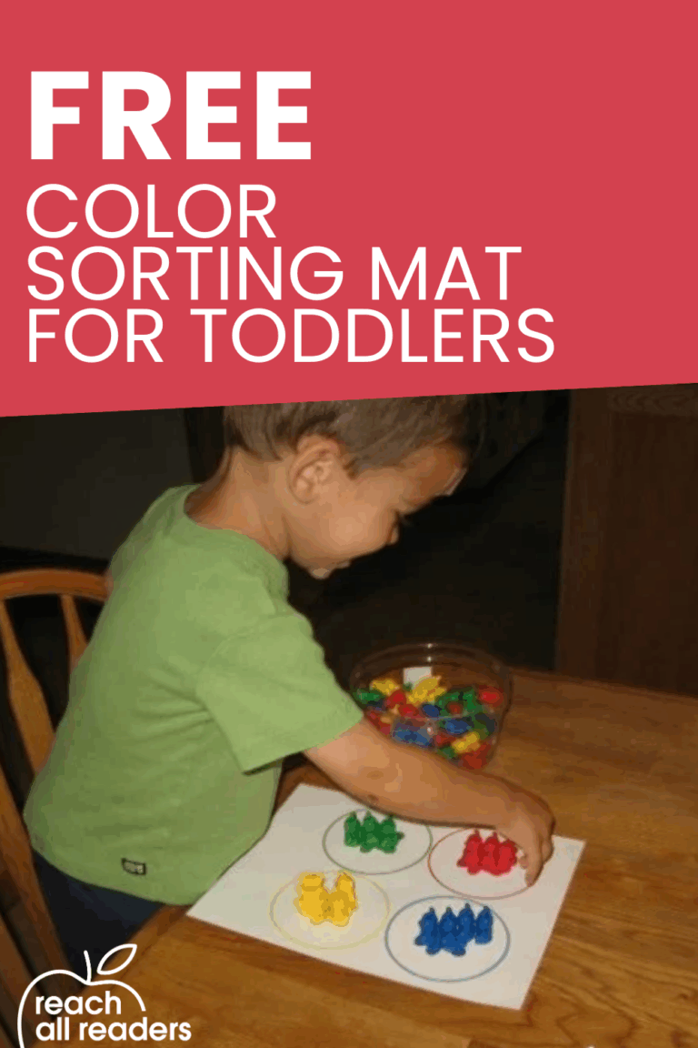 Color sorting mat - Reach All Readers