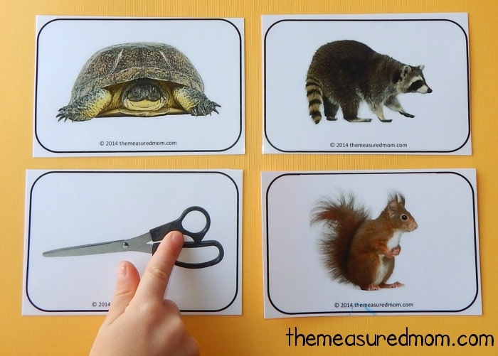 Alphabet picture cards - Reach All Readers
