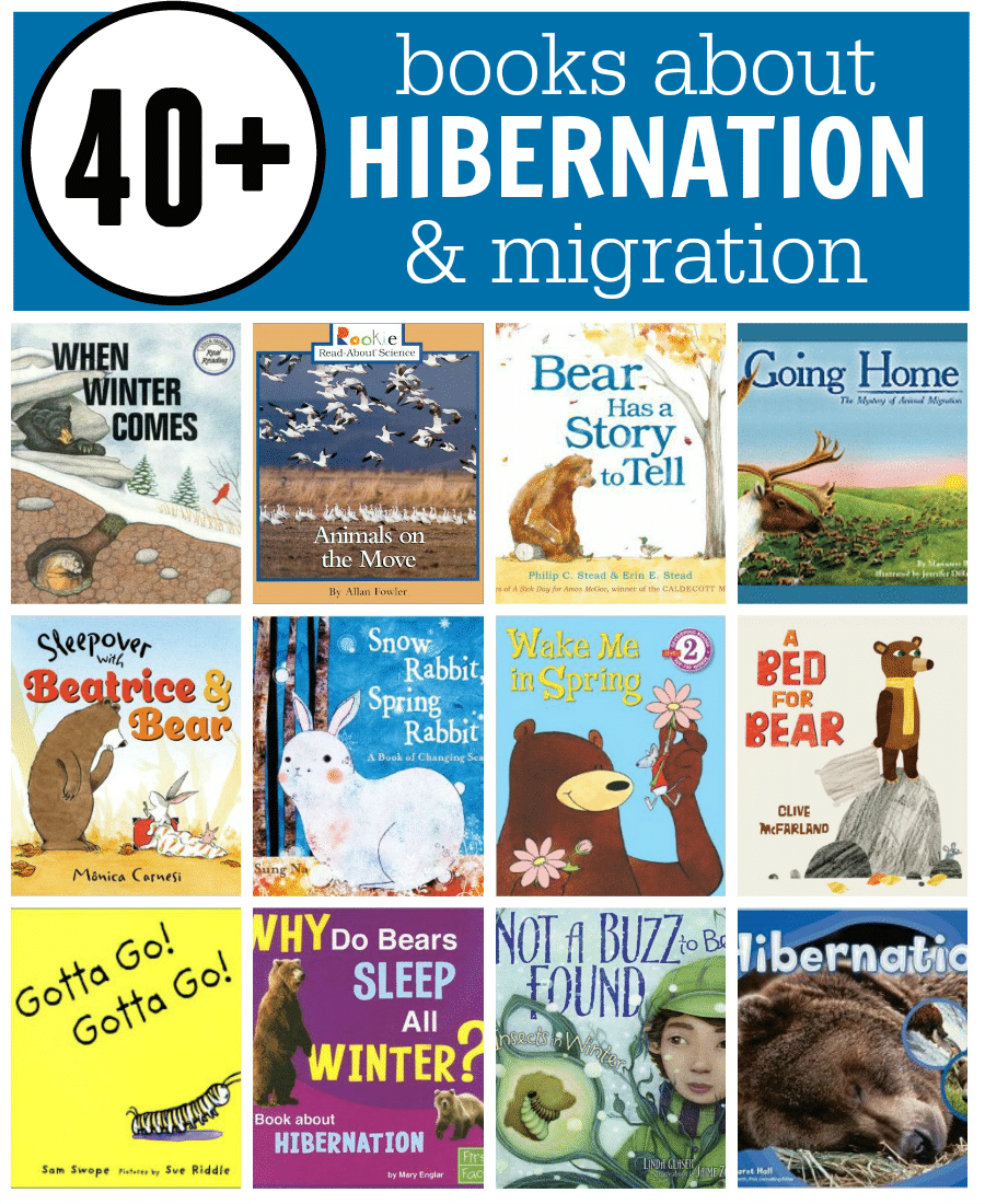Books about hibernation, migration, and adaptation - Reach All Readers
