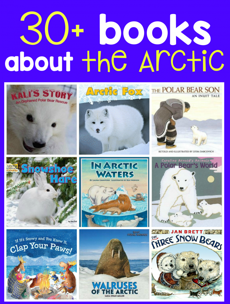Books about arctic animals - Reach All Readers
