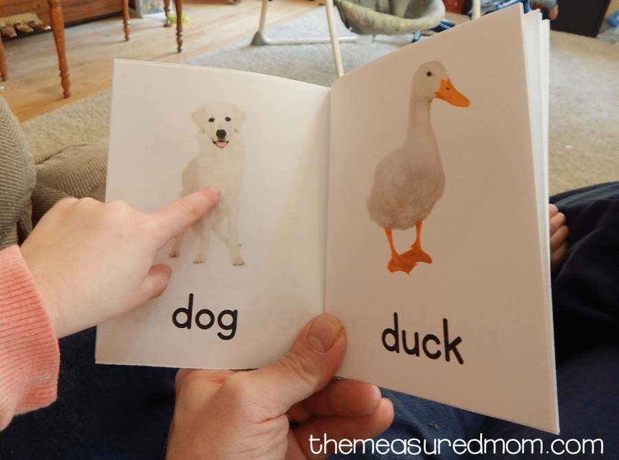 Printable books about colors - Reach All Readers