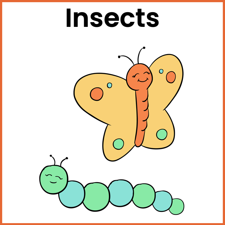 Books about insects and spiders - Reach All Readers