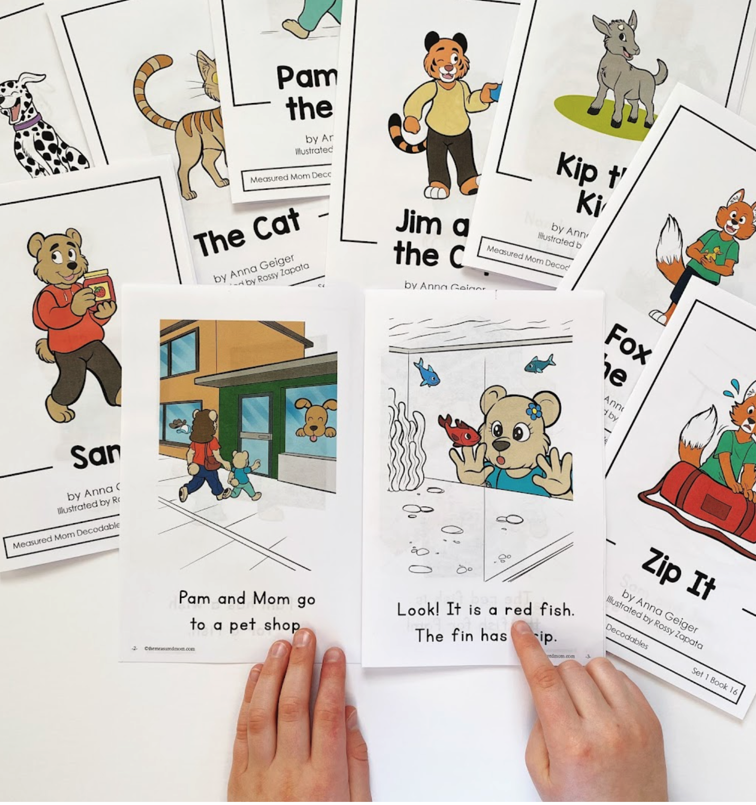 Decodable Books & Lessons Set 1a: CVC Words & Common Digraphs - Reach ...
