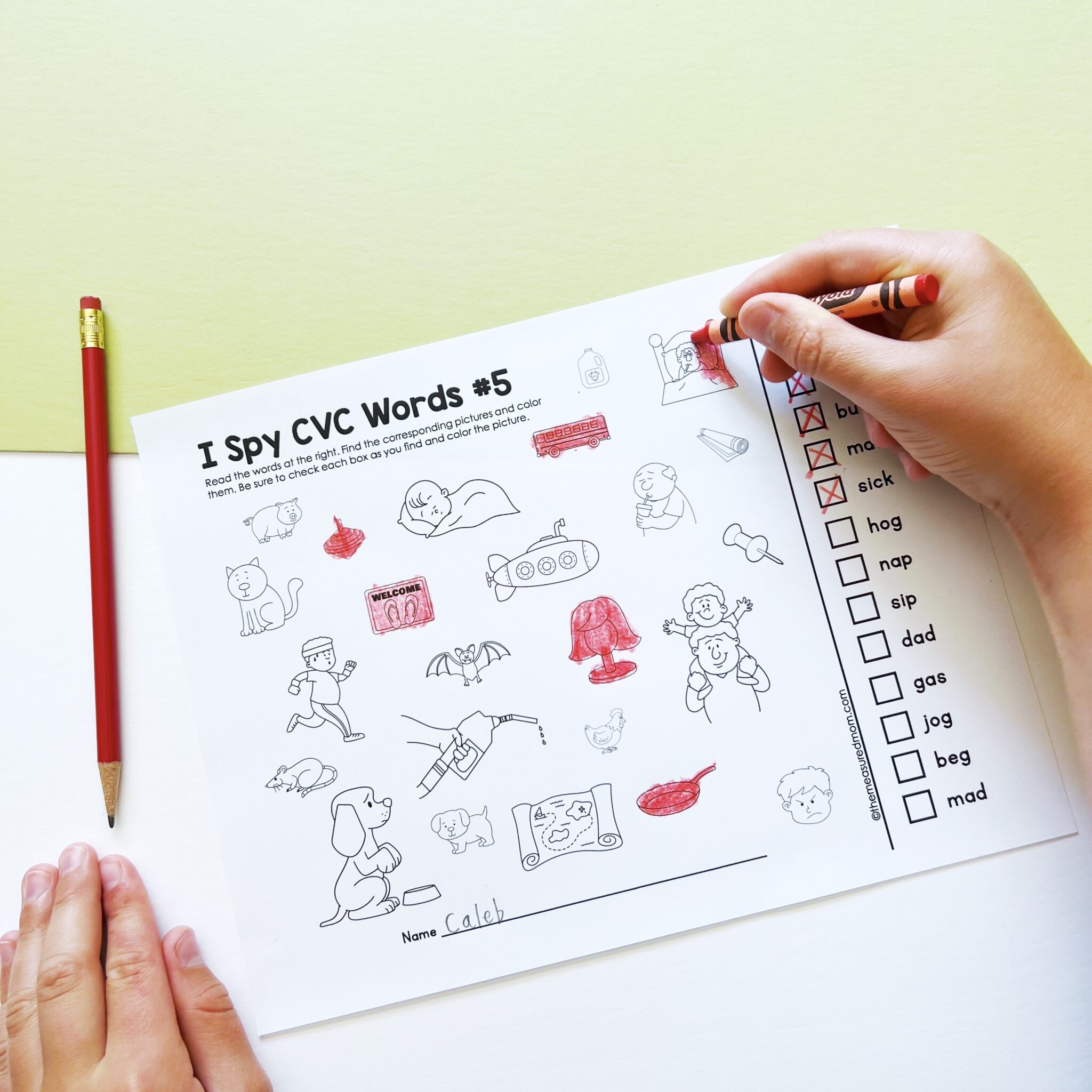 I Spy CVC Words - Reach All Readers