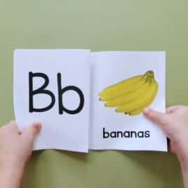 Simple alphabet books for babies, toddlers, and preschoolers - Reach ...