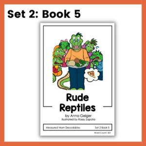 Decodable Books Set 2 - Book 5 - Reach All Readers