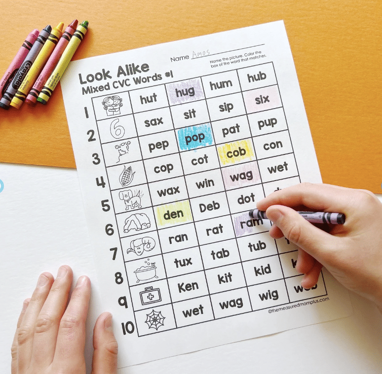 CVC Look-Alike Words - Reach All Readers